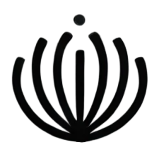 KAİKA Studios – Sculpt Your Space